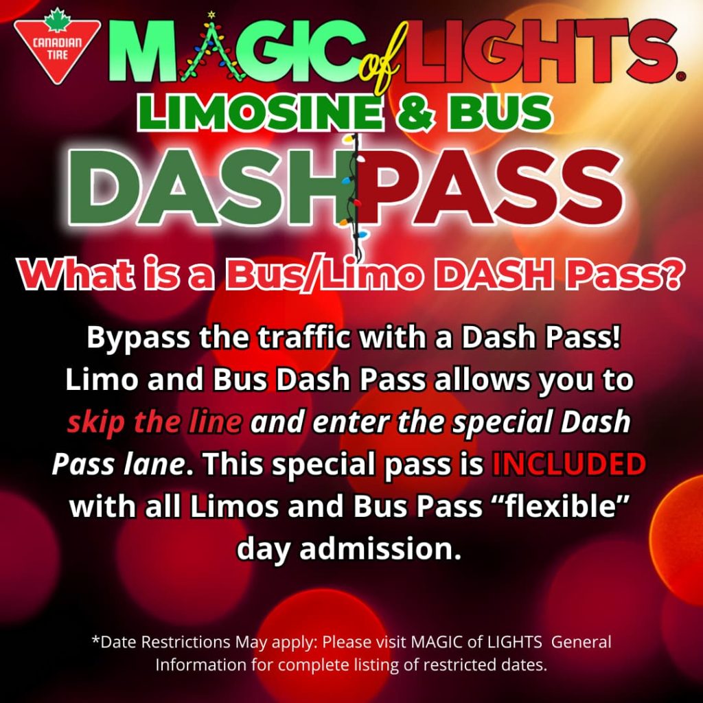 Magic of Lights - RAD Torque Raceway