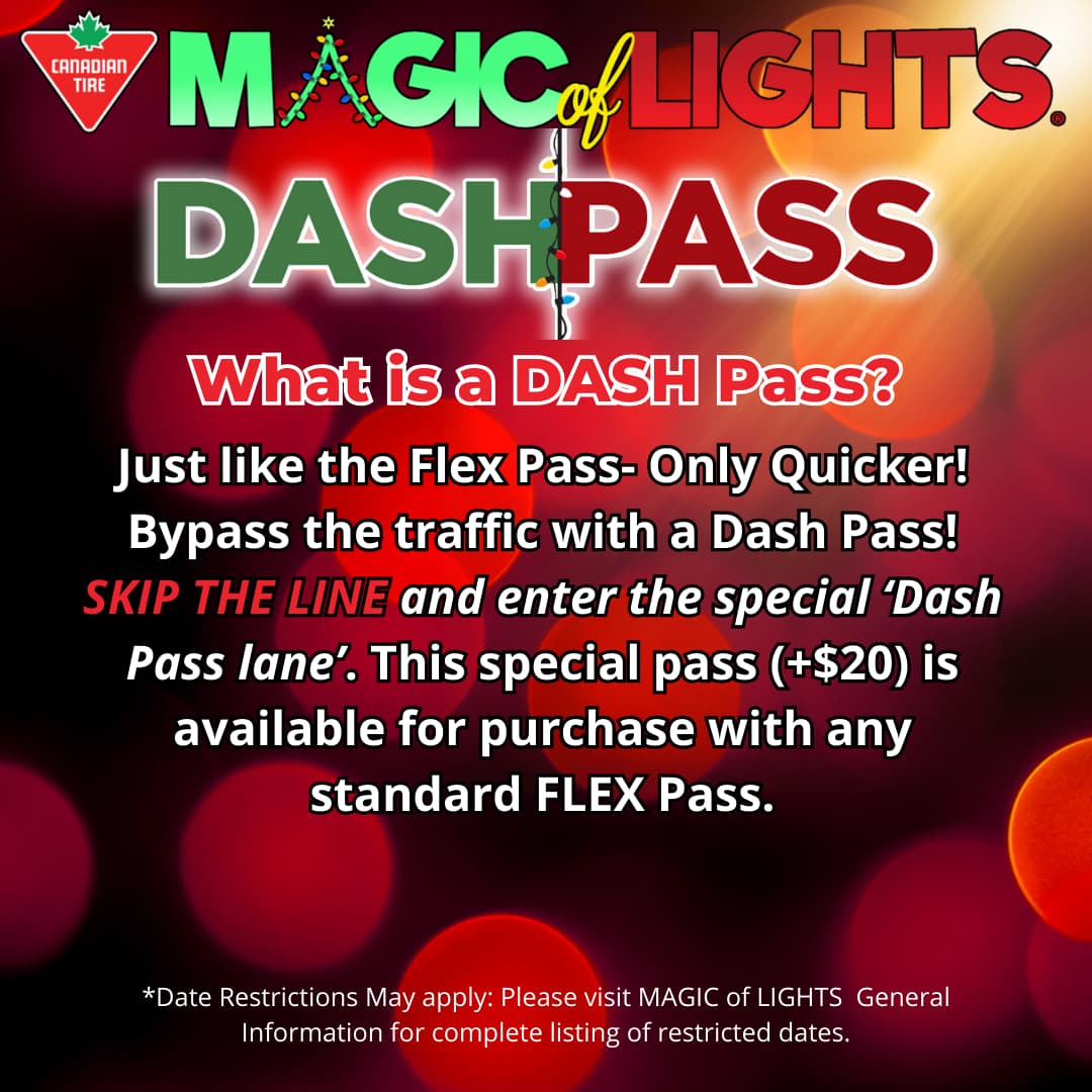 Magic of Lights - RAD Torque Raceway