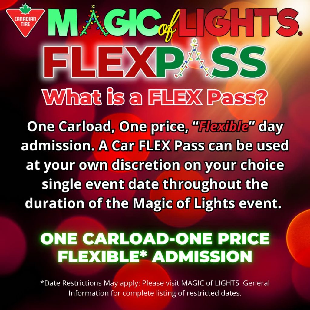 Magic of Lights - RAD Torque Raceway